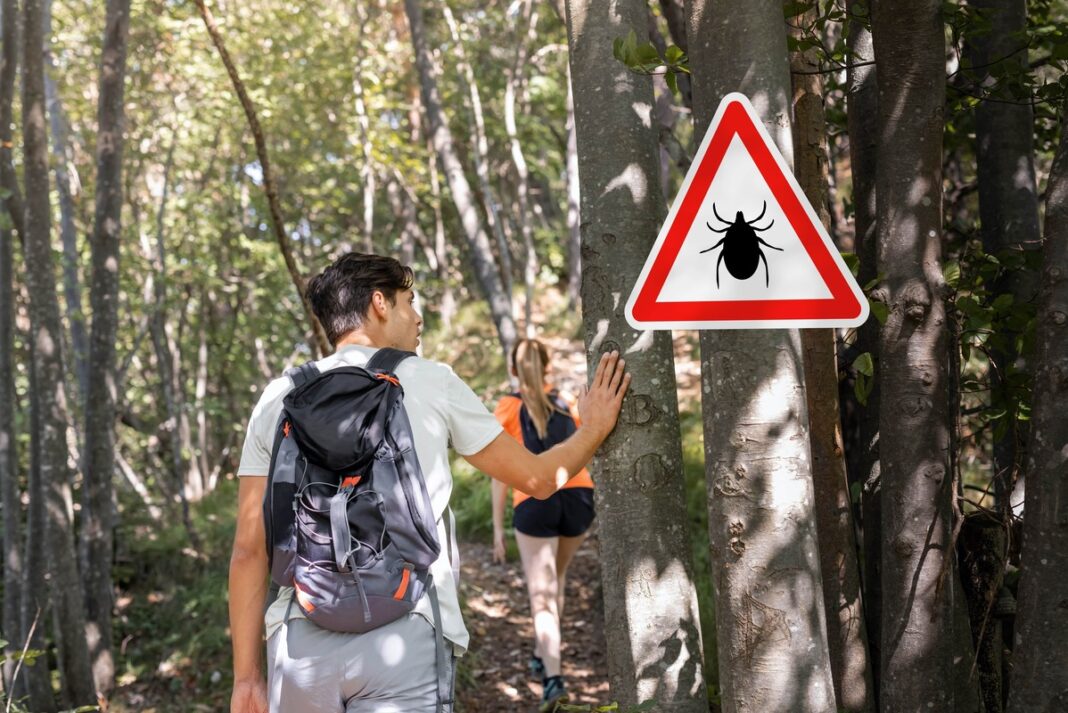 Erkės nekenčia šio kvapo – žmonės juo gelbėjasi masiškai | Visostemos