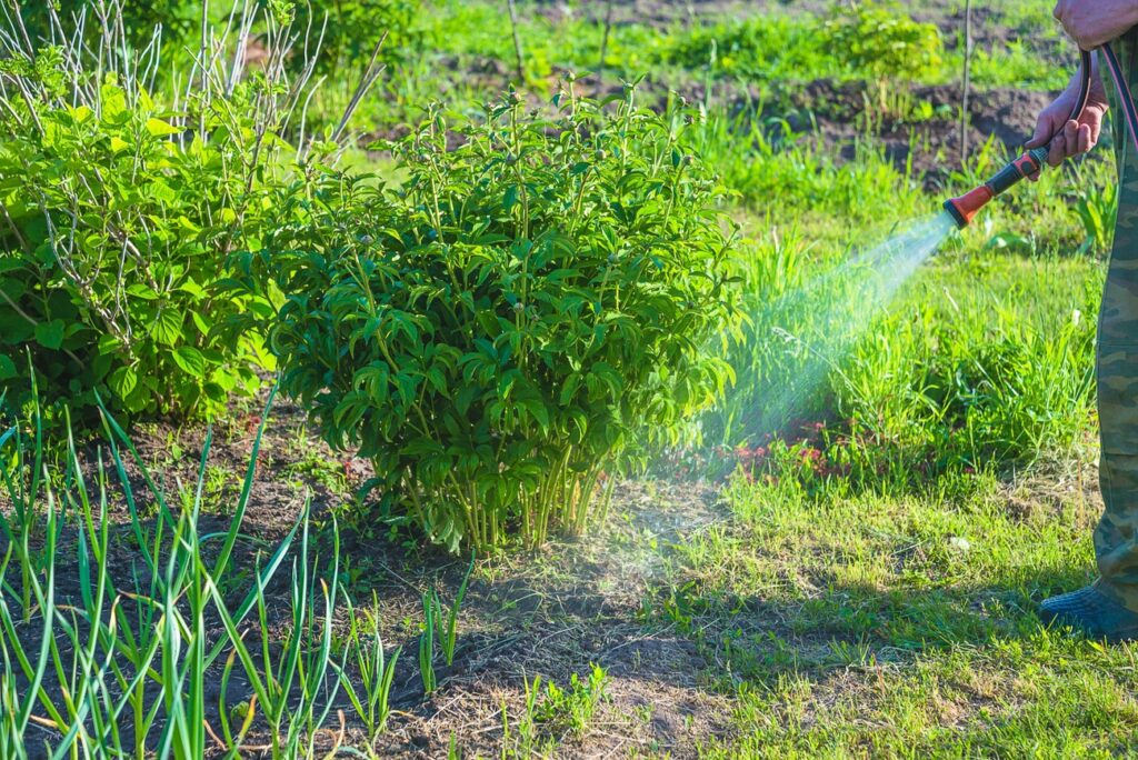 Sodininkai įspėjami rugpjūtį nepamiršti šio vieno svarbaus dalyko ...